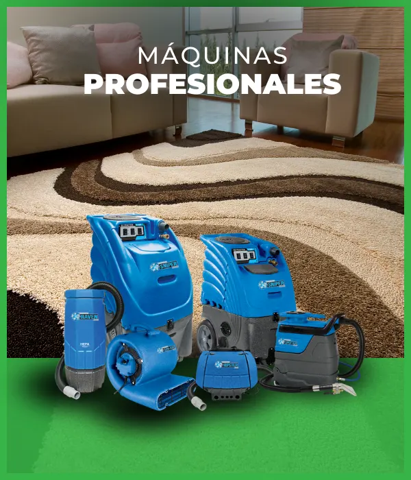 Lavado de Alfombras para Empresas | Expertos en Limpieza