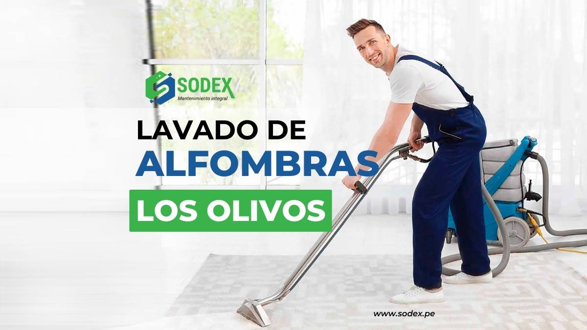 Lavado de Alfombras en Los Olivos ¡Recupera la Belleza de tus Alfombras!