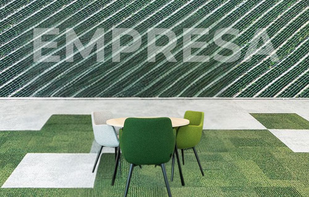 Lavado de Alfombras Profesionales en Lima - Sodex Servicios