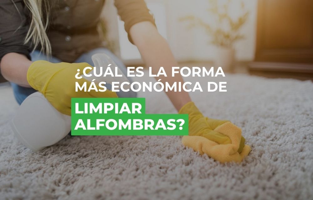 Lavado de Alfombras Profesionales en Lima - Sodex Servicios