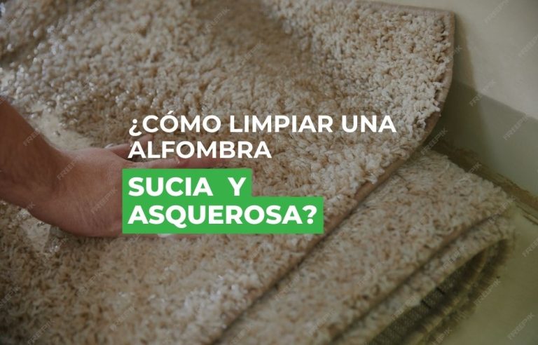 ¿Cómo limpiar una alfombra sucia y asquerosa? - Sodex