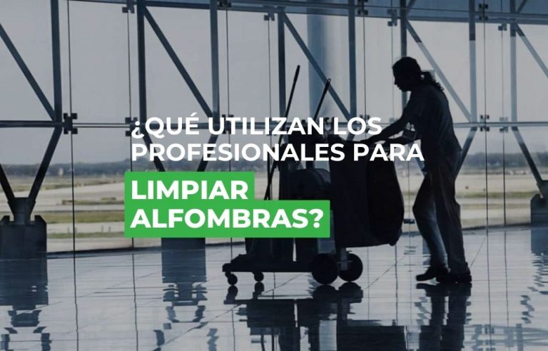 ¿Qué utilizan los profesionales para limpiar alfombras? - Sodex