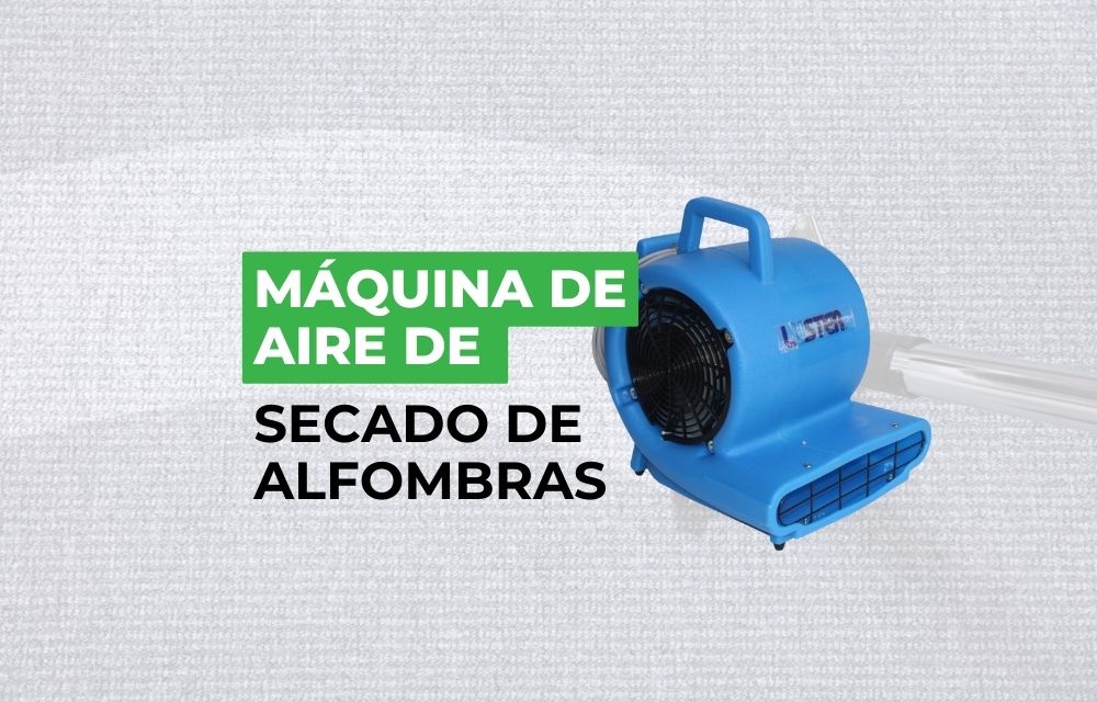 Lavado de Alfombras para Oficinas | Expertos en Limpieza